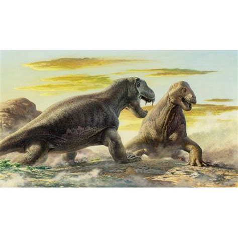 Anteosaurus And Moschops Scene By John Sibbick