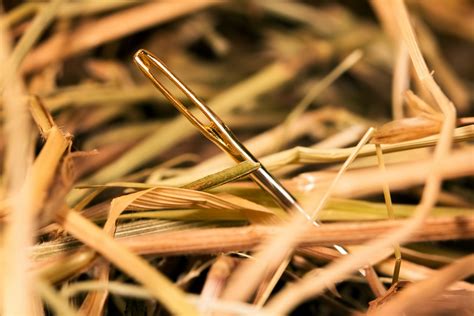 Outliers Looking For A Needle In A Haystack Quantdare