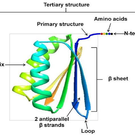 Three Dimensional Structure Of The Simple Protein Top 7 Protein Data