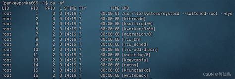 Linux进程管理、ps命令、kill命令linux Ps 进程然后kill Csdn博客