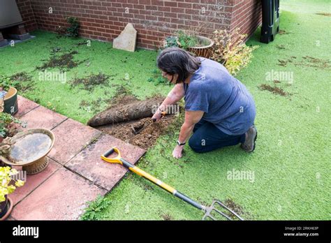 Replacing Artificial Grass Hi Res Stock Photography And Images Alamy