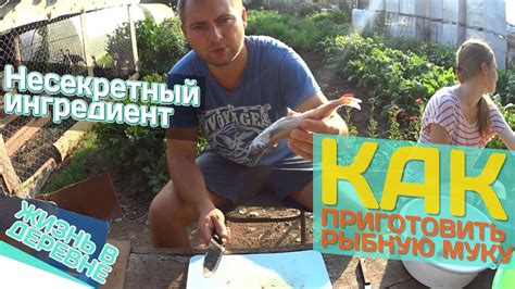 Как приготовить рыбную муку Youtube