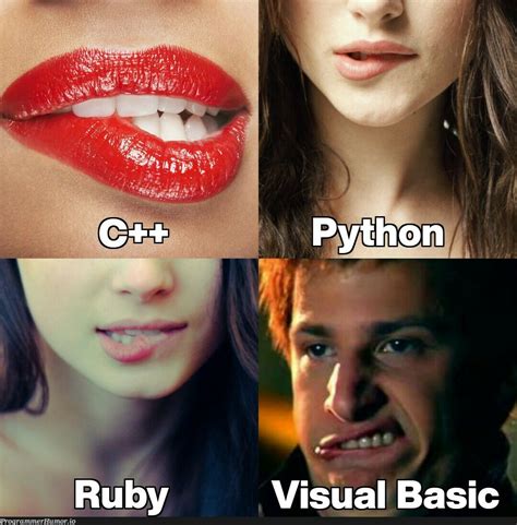 The New Ie ·