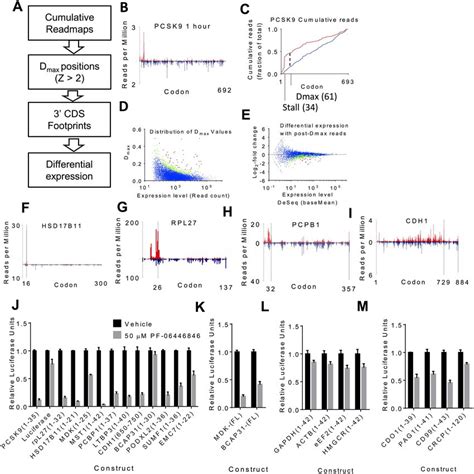 Identification And Validation Of Pf 06446846 Sensitive Nascent Chains Download Scientific