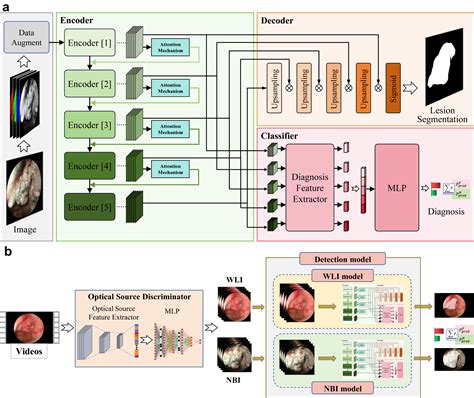 Real Time Artificial Intelligence Assisted Detection And Segmentation
