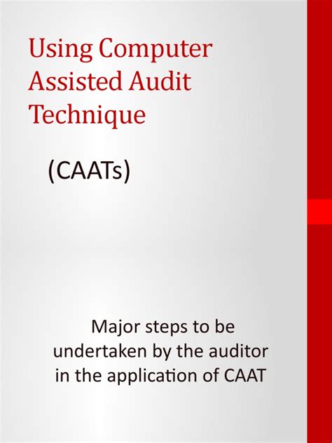 Using Computer Assisted Audit Technique Pdf
