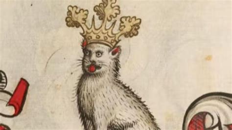 Cats In The Middle Ages What Medieval Manuscripts Teach Us About Our