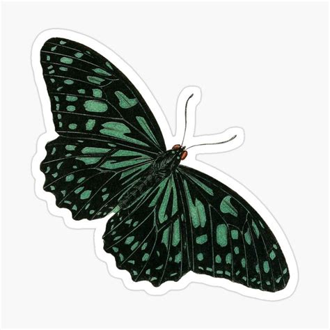 Promote Redbubble Sticker Tasarımı Çıkartma Kolaj