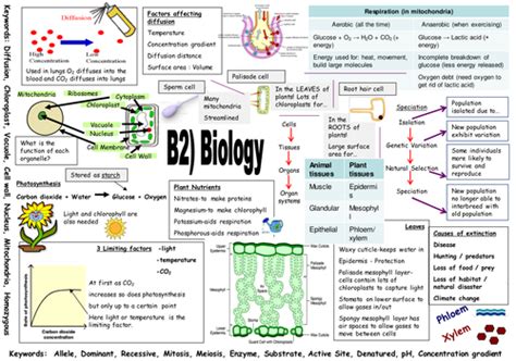 A Report On Biology On The Topic Of Human Hereditary Diseases Fasrscapes