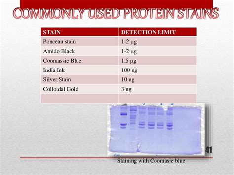 Protein Analysis