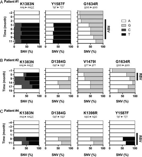 Time Course Of Non Synonymous Single Nucleotide Variations At Certain Download Scientific