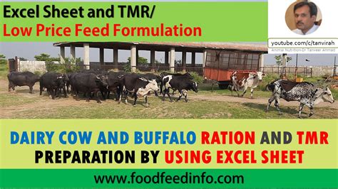 how to formulate tmr and ration for dairy by excel sheet foodfeedinfo