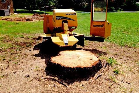 Tree And Stump Removal Near Me Stump Removal Stumped Tree