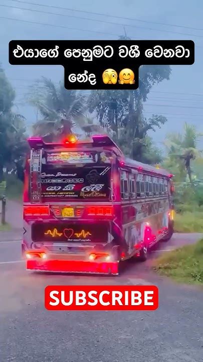 රිවස් එකත් එක්ක එයාගේ පාස් එක කොහොමද 🤗 මායා කිරිල්ලී 💝 Youtube