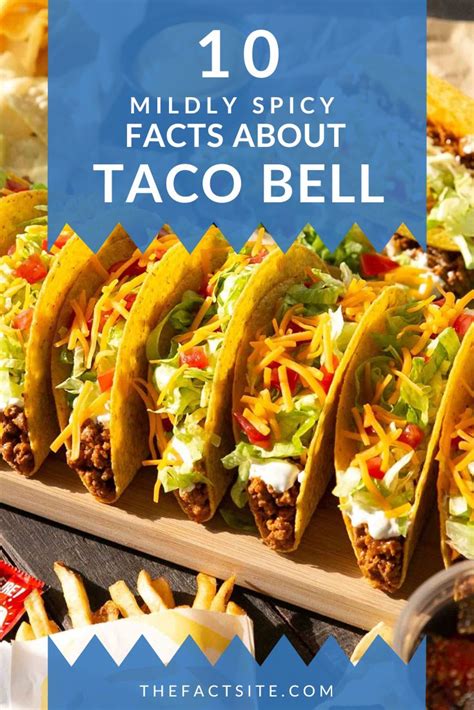 10 Mildly Spicy Facts About Taco Bell The Fact Site