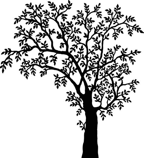 Download Tree Plant Vegetation Royalty Free Vector Graphic Pixabay