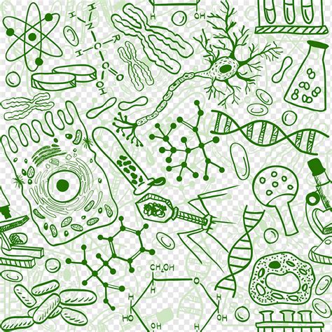 School Elements Pattern Chemical And Biology Background Png Pngwing
