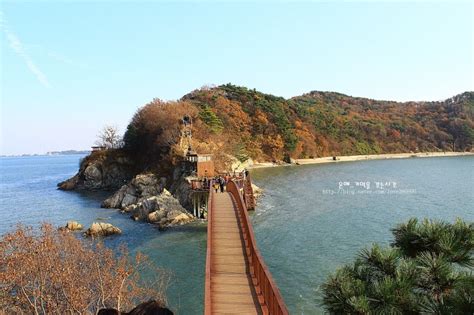 안산 가볼만한곳 대부도 해솔길 1코스
