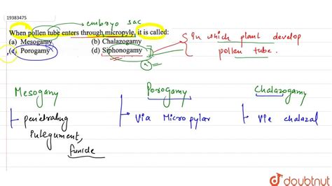When Pollen Tube Enters Through Micropyle It Is Called