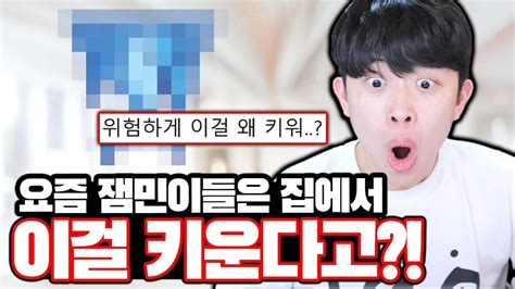 요즘 잼민이들이 키우는 위험한 것ㄷㄷ Youtube