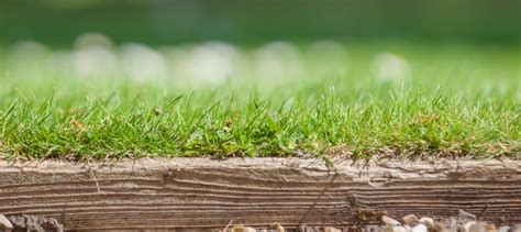 How To Install Lawn Edging Dave S Garden