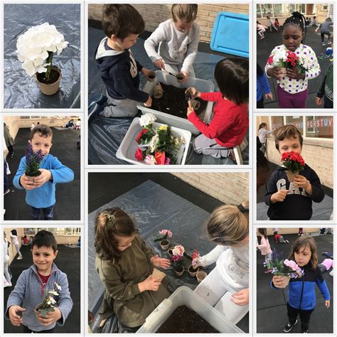 LA CLASE DE MIREN Mis Experiencias En El Aula TRES JUEGOS SOBRE FLORES Y PLANTAS