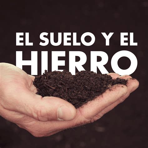 Grass And Class Tu Jardín En Nuestras Manos