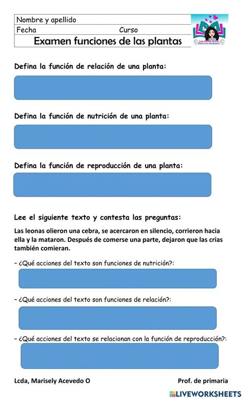 Partes De La Planta Y Sus Funciones Interactive Worksheet Live