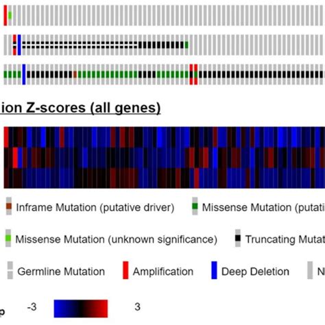 The Oncoprint Showing The Genetic Alterations And Mrna Expression Level