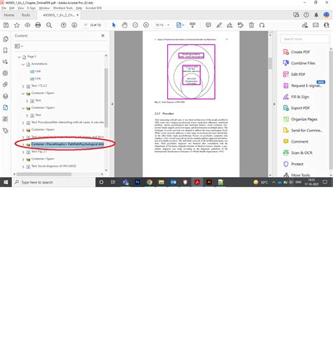 How To Get This Container Path Coordinates From P Adobe Product