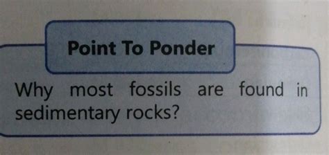 Point To Ponder Why Most Fossils Are Found In StudyX