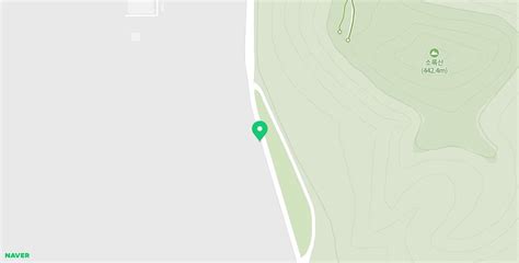 제주도 녹산로 실시간 벚꽃 유채꽃 개화 상황 3월 18일 네이버 블로그