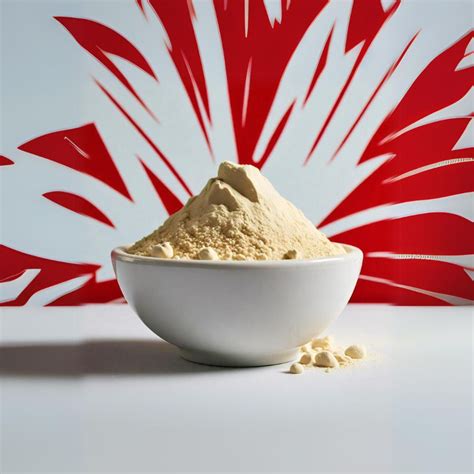 Bulk Soy Lecithin Powder Wholesale Importers