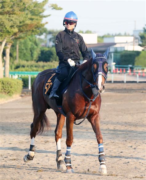 【レパードs】オメガギネスが無傷3連勝で重賞初v狙う 大和田師「能力は相当」 スポーツ報知