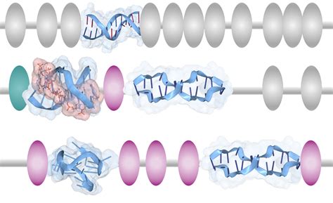 Training Your Genome