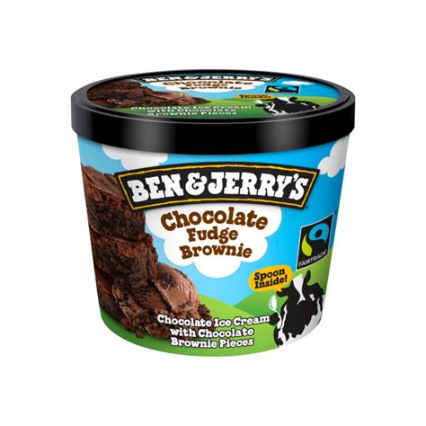 Ben And Jerrys Chocolate Fudge Brownie Ice Cream 100 Ml Unobezorgt