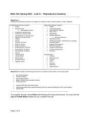 Understanding Reproductive Anatomy Lab In BIOL 221 Course Hero