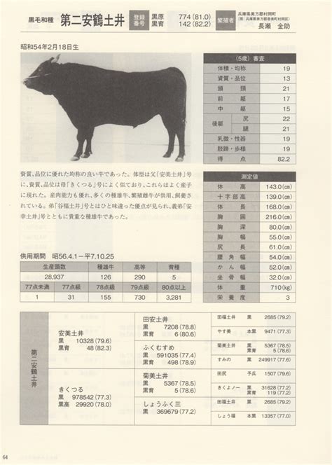 Foundation Sires Lone Mountain Cattle