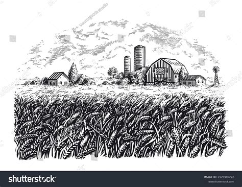 Field Hand Drawing Sketch Engraving Illustration Stock Vector Royalty Free