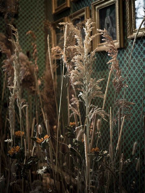 Strawberry Hill House Flower Festival 2019 Botanical Tales