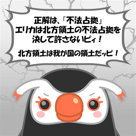 Livetests NHK総合を常に実況し続けるスレ 222577 チンポコポン 1002 画像一覧