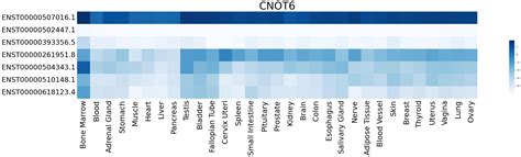 Translfac Annotation Of Human Translation Factors Search