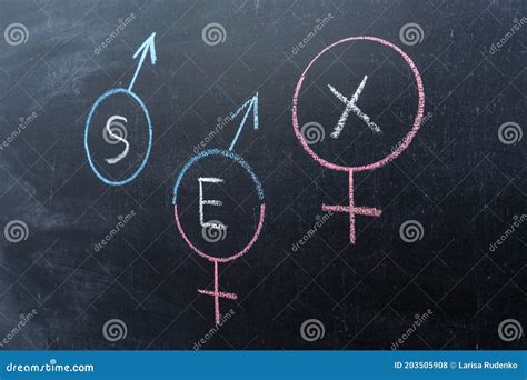 The Concept Of Sexual Education Symbols Of Gender On The Chalk Board Stock Photo Image Of