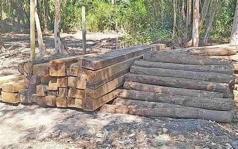 တရားမဝင်သစ်မျိုးစုံ၊ စားသောက်ကုန် ပစ္စည်းများနှင့် မော်တော်ယာဉ် ဖမ