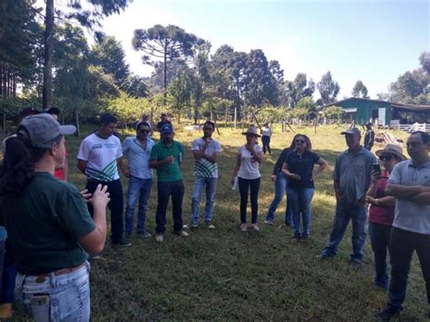 Sccurso Técnico Em Agronegócio Alunos Visitam Propriedades E