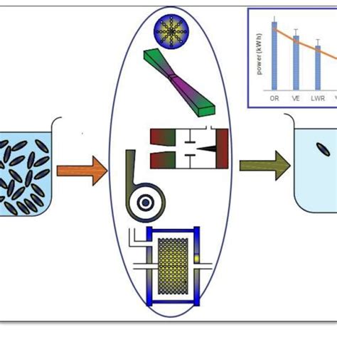 Microbial Disinfection Of Water Using Hydrodynamic Cavitational