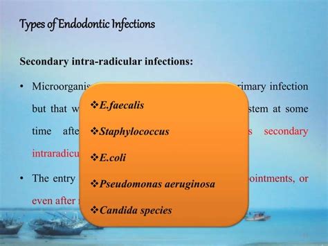 Endodontic Biofilms And Managementpptx Dental Health Diseases And
