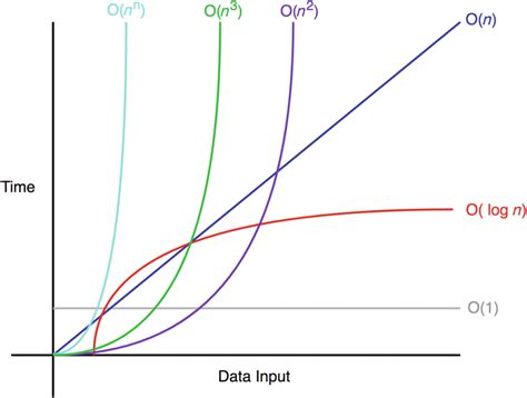 Mô Hình Độ Phức Tạp Complexity Models Trần Ngọc Minh