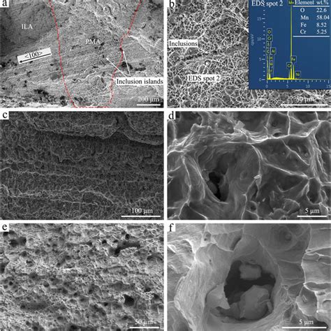 Sem Maps A Skeletal Ferrite B Lathy Ferrite And C Grain Download Scientific Diagram