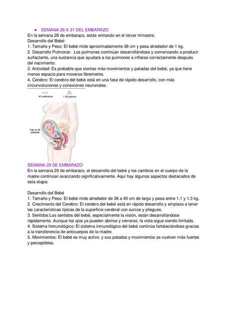 Embriología Tarea Waldir Udocz